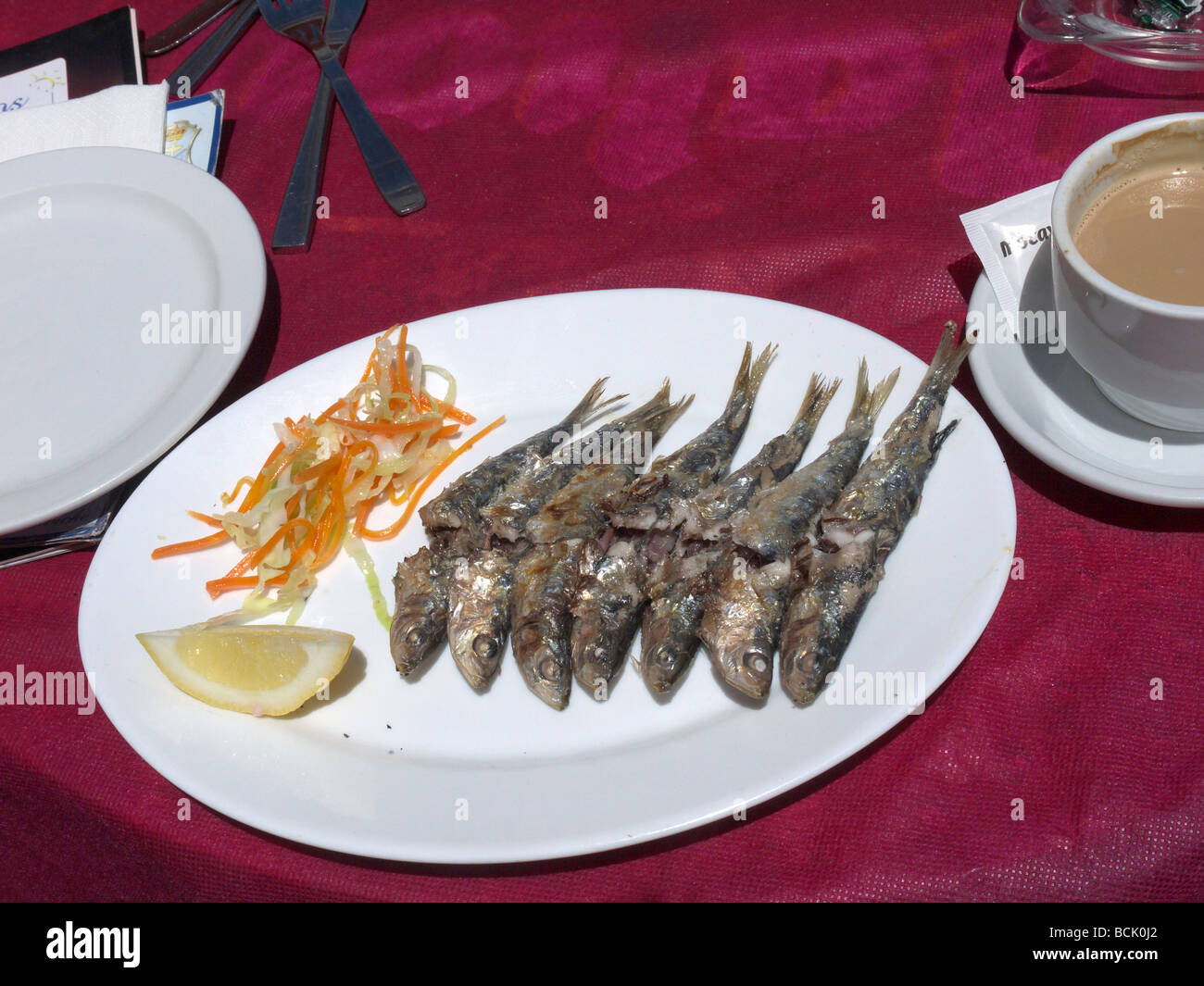 Typical Food In Nerja On The Costa Del Sol In Spain Stock Photo Alamy typical-food-in-nerja-on-the-costa-del-sol-in-spain-stock-photo-alamy
