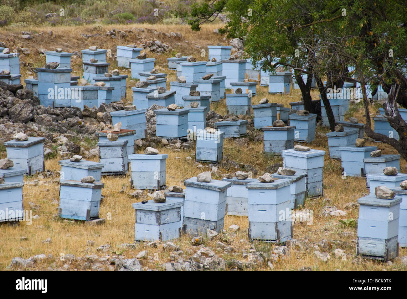 Group of blue beehives on mountainside above the village of Assos on ...