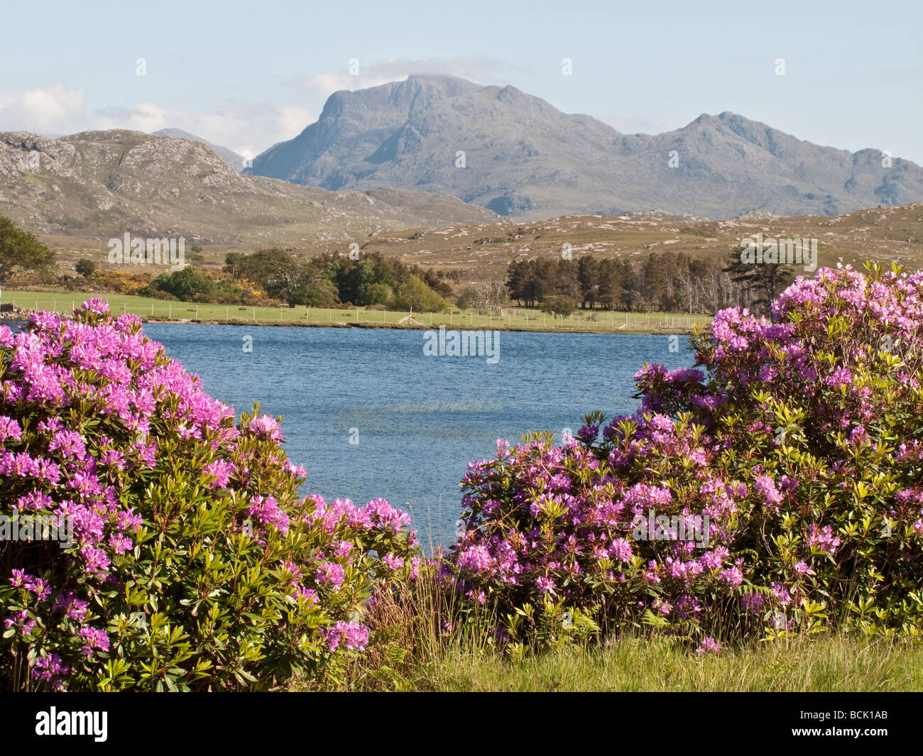 Tournaig hi-res stock photography and images - Alamy