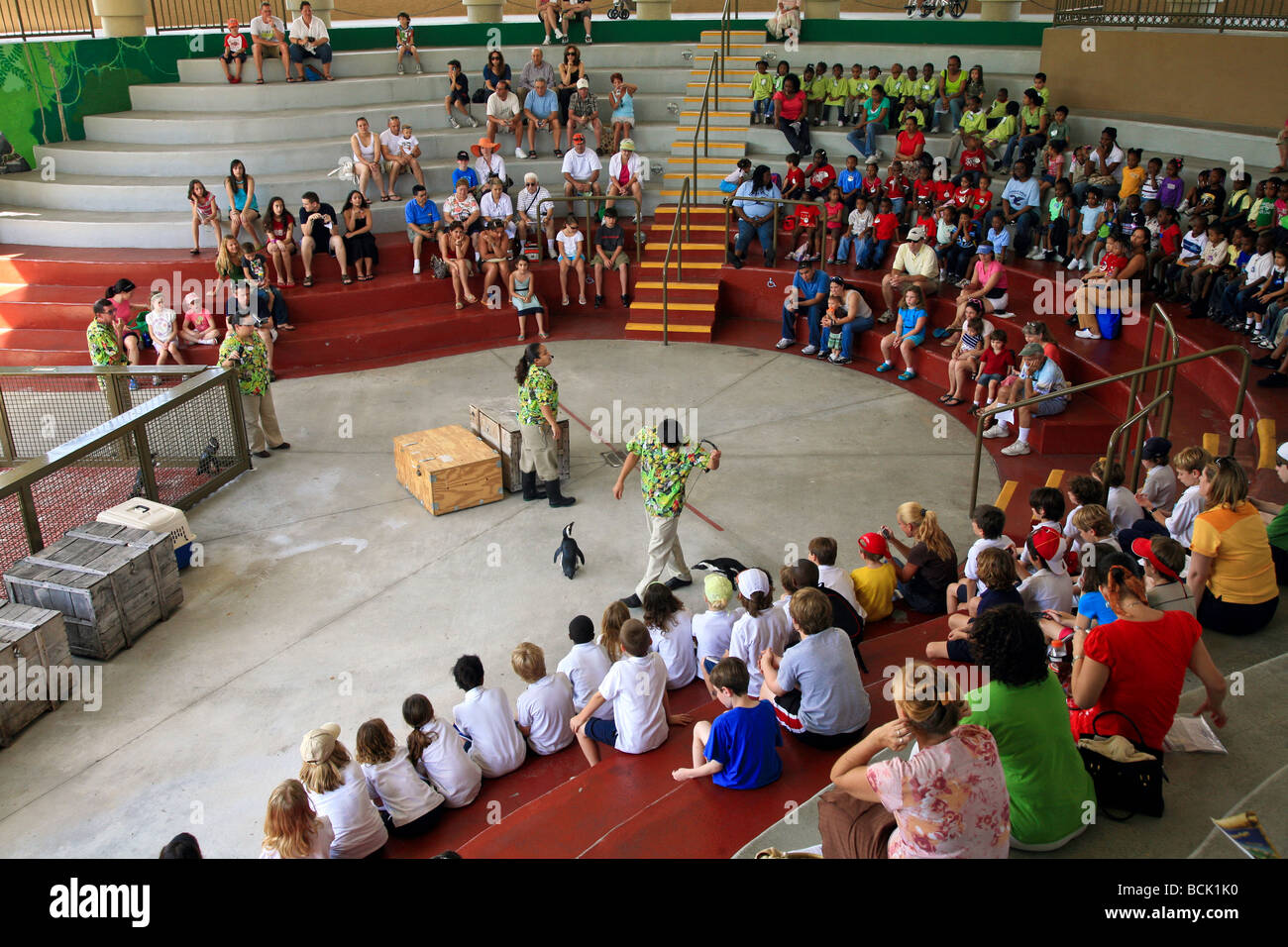 Africans animals hi-res stock photography and images - Alamy