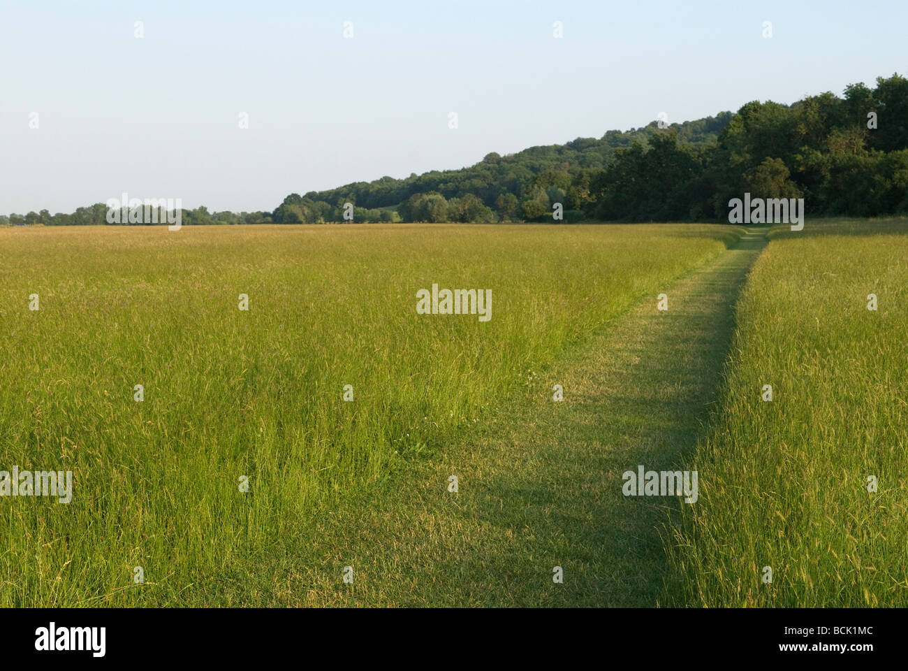 Runnymede and meadow hi-res stock photography and images - Alamy