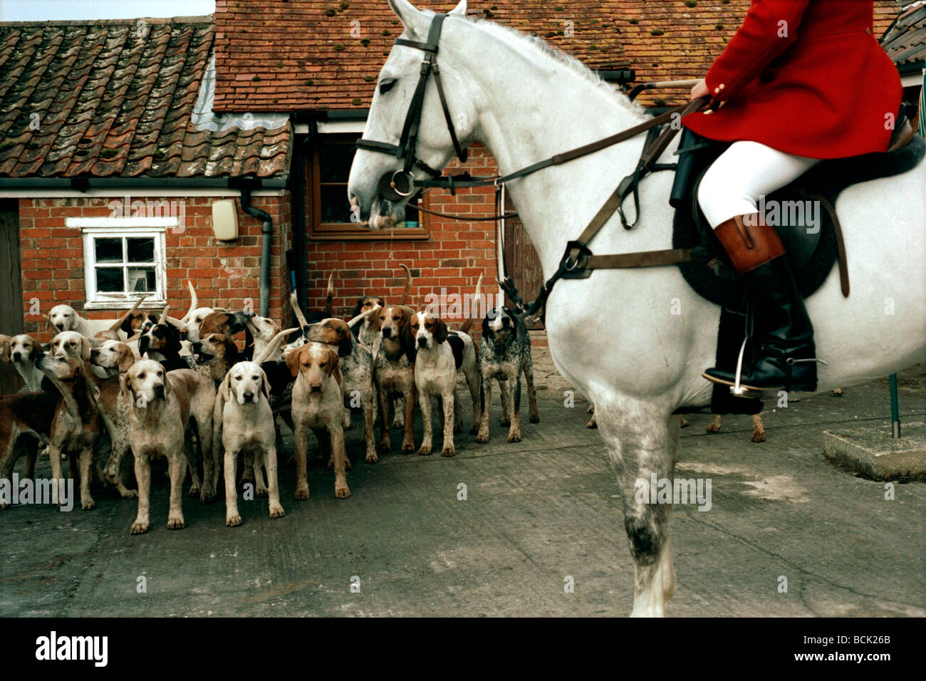 Master of the hounds settles the hounds before heading of for a days ...