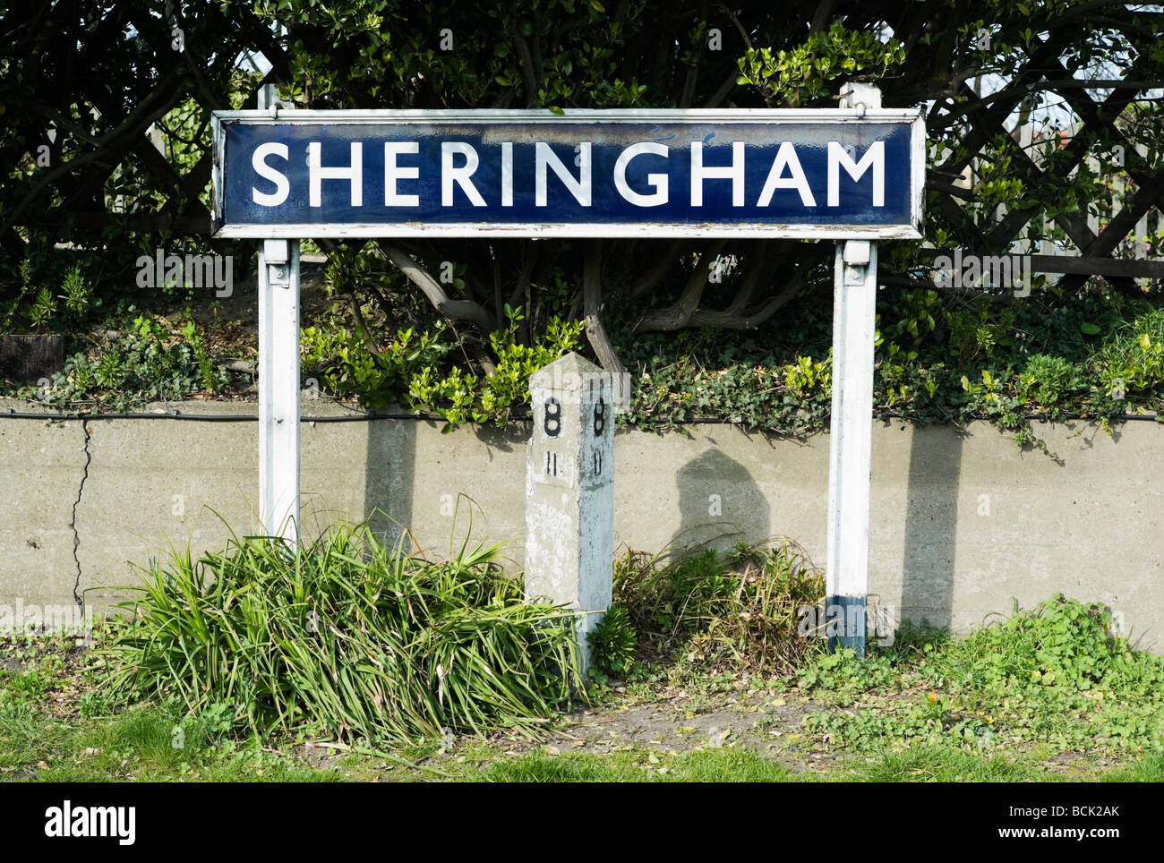 Bittern line hi-res stock photography and images - Alamy