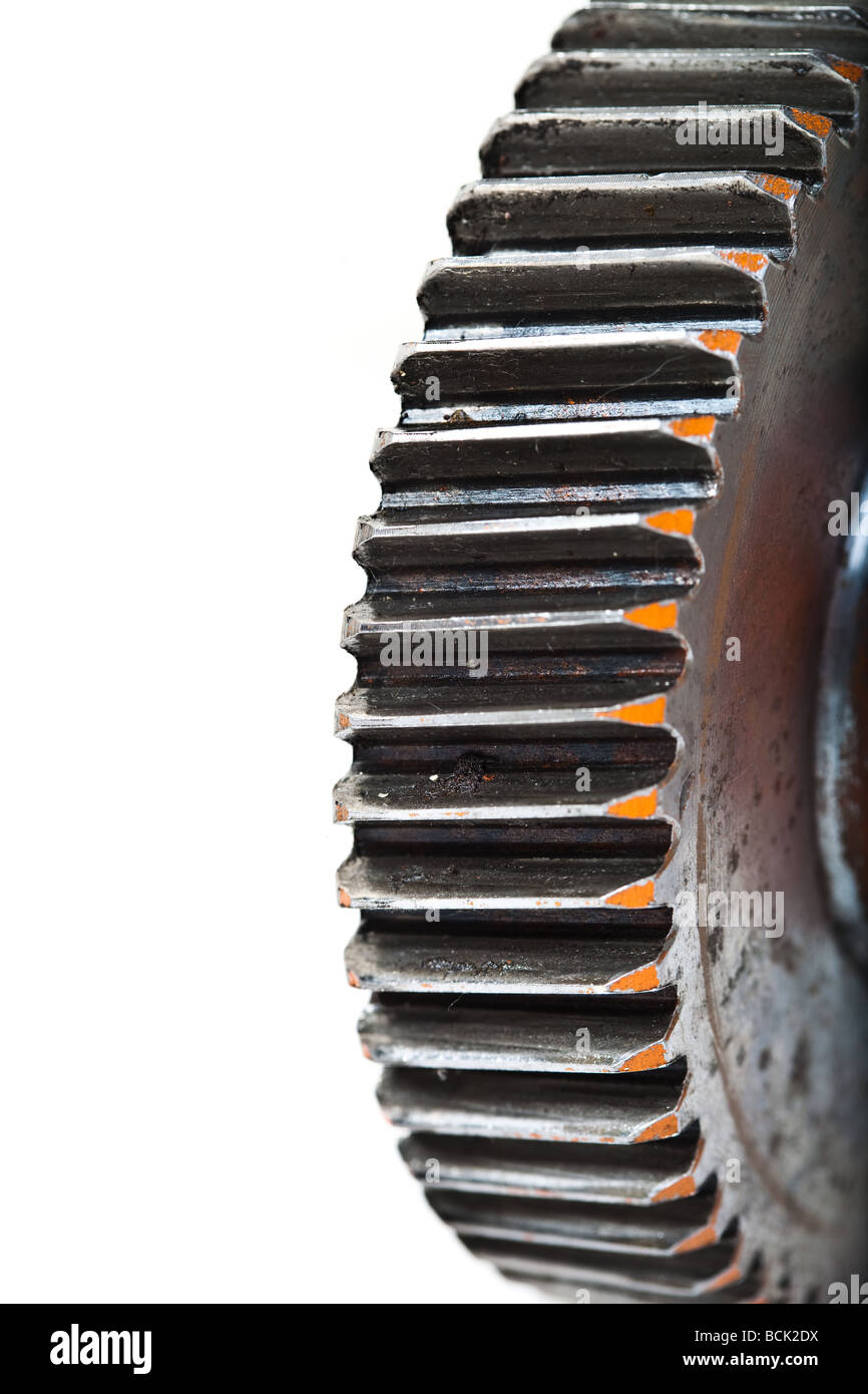 Gear isolated on white background Stock Photo - Alamy