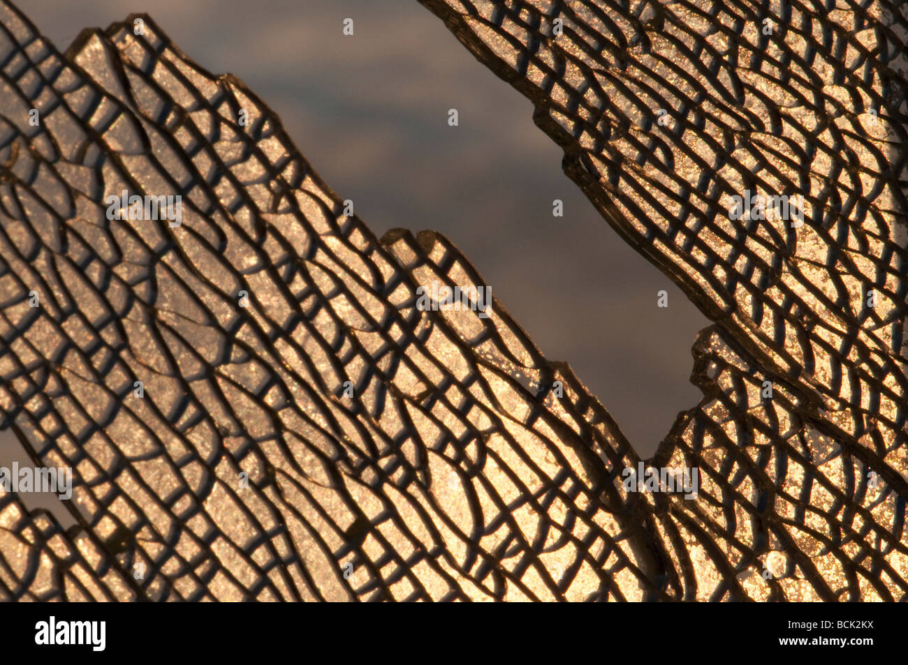 Shattered Glass Abstract Stock Photo - Alamy