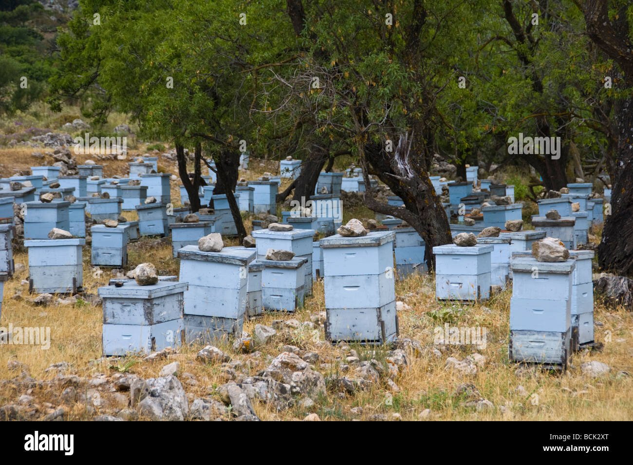 Group of blue beehives on mountainside above the village of Assos on ...