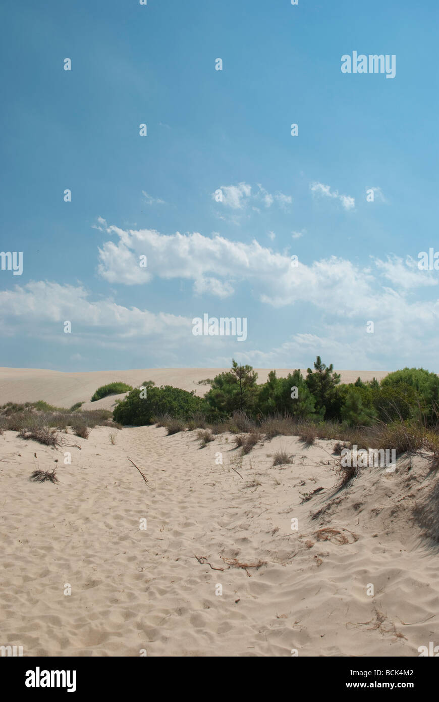 Jockeys ridge hi-res stock photography and images - Alamy