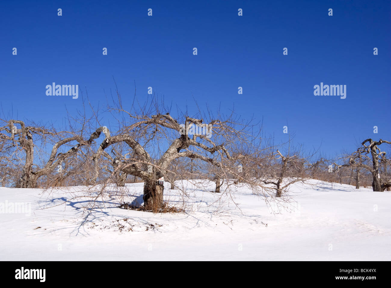 Rural quebec winter hi-res stock photography and images - Alamy