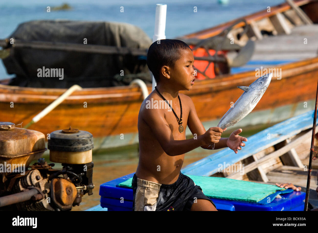 Boy helping his father transfer fish from boat to basket Rawai village ...