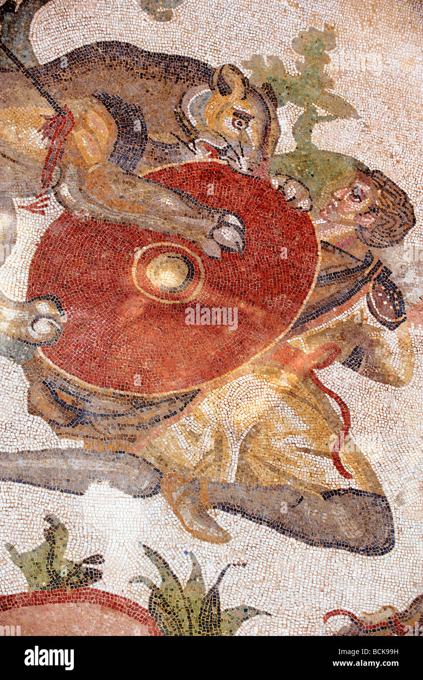 Lion fighting hi-res stock photography and images - Alamy