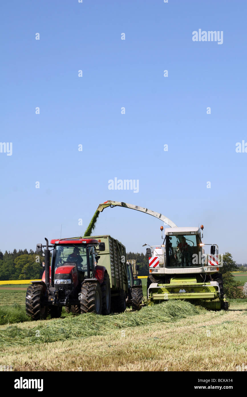 Farmers at production of grass silage on a field Stock Photo - Alamy
