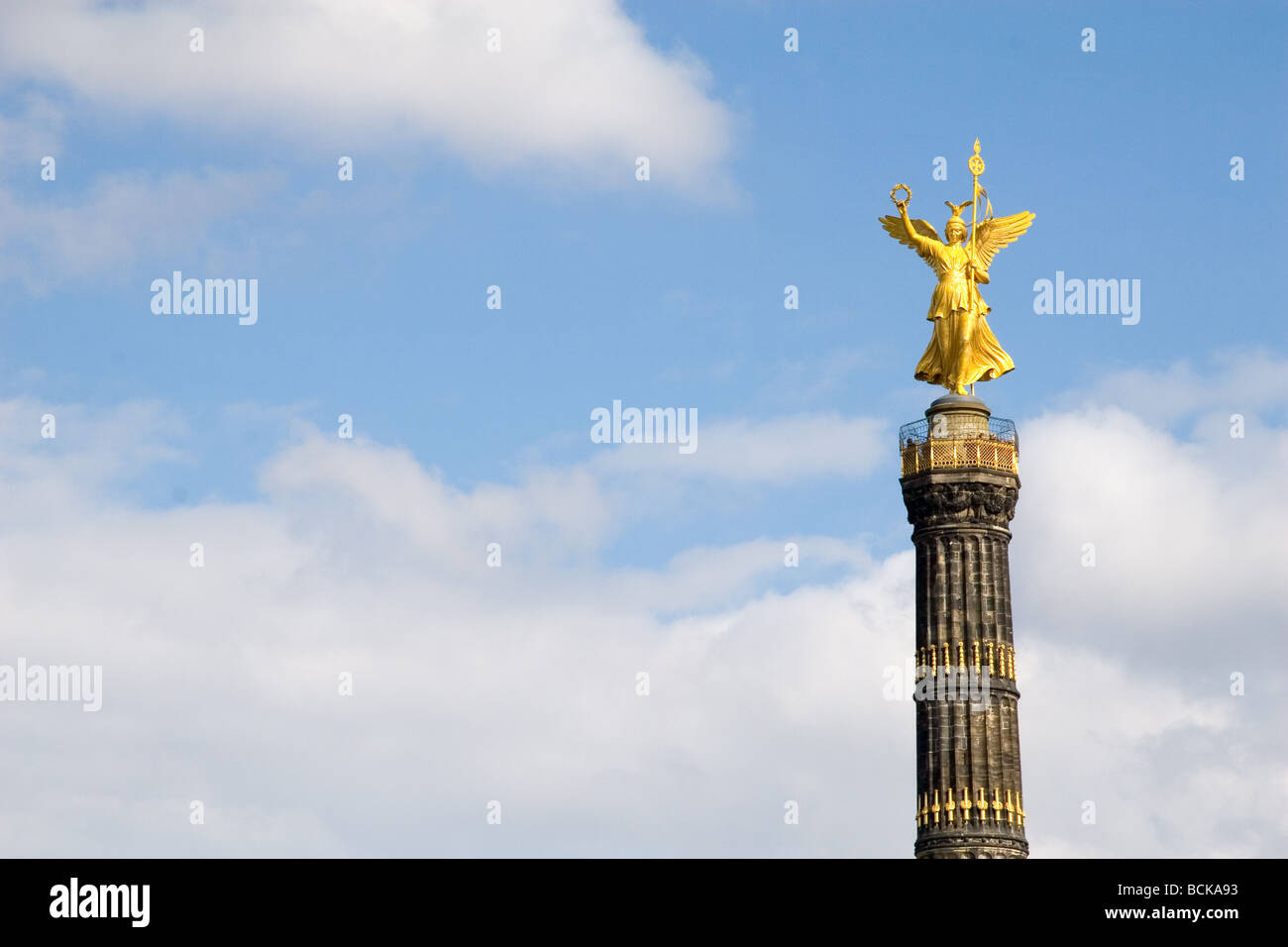 Goldelse hi-res stock photography and images - Alamy