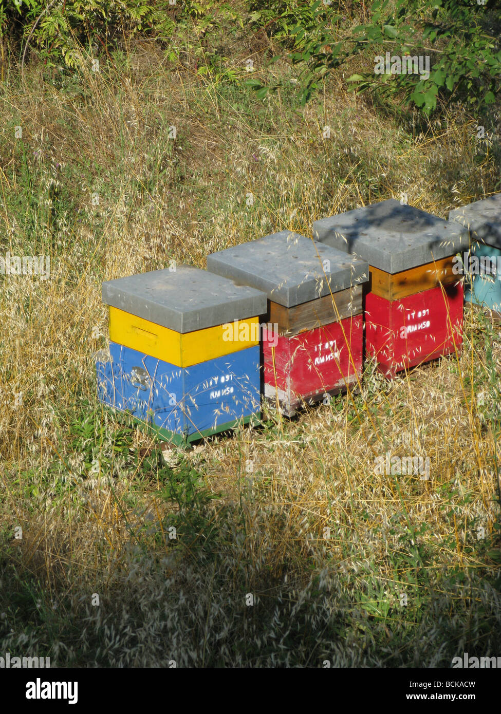 Bee hives huts hi-res stock photography and images - Alamy