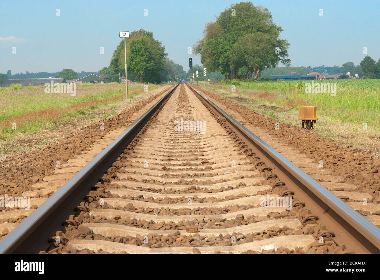 Train tracks leading toward the horizon with on both sides green trees ...