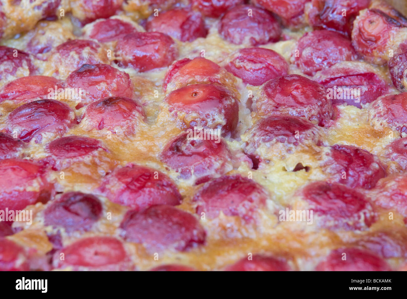 Cooked cherries known as "Montmorency" (Prunus cerasus) - France ...