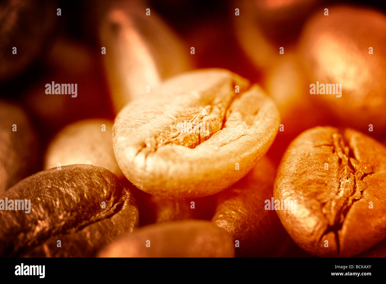 Macro picture of coffee beans Stock Photo - Alamy