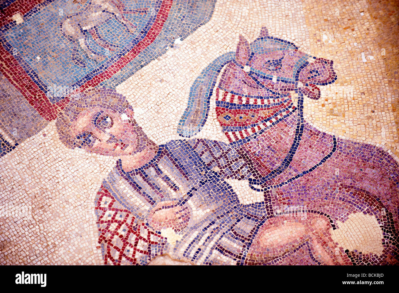 Roman artefact rider hi-res stock photography and images - Alamy