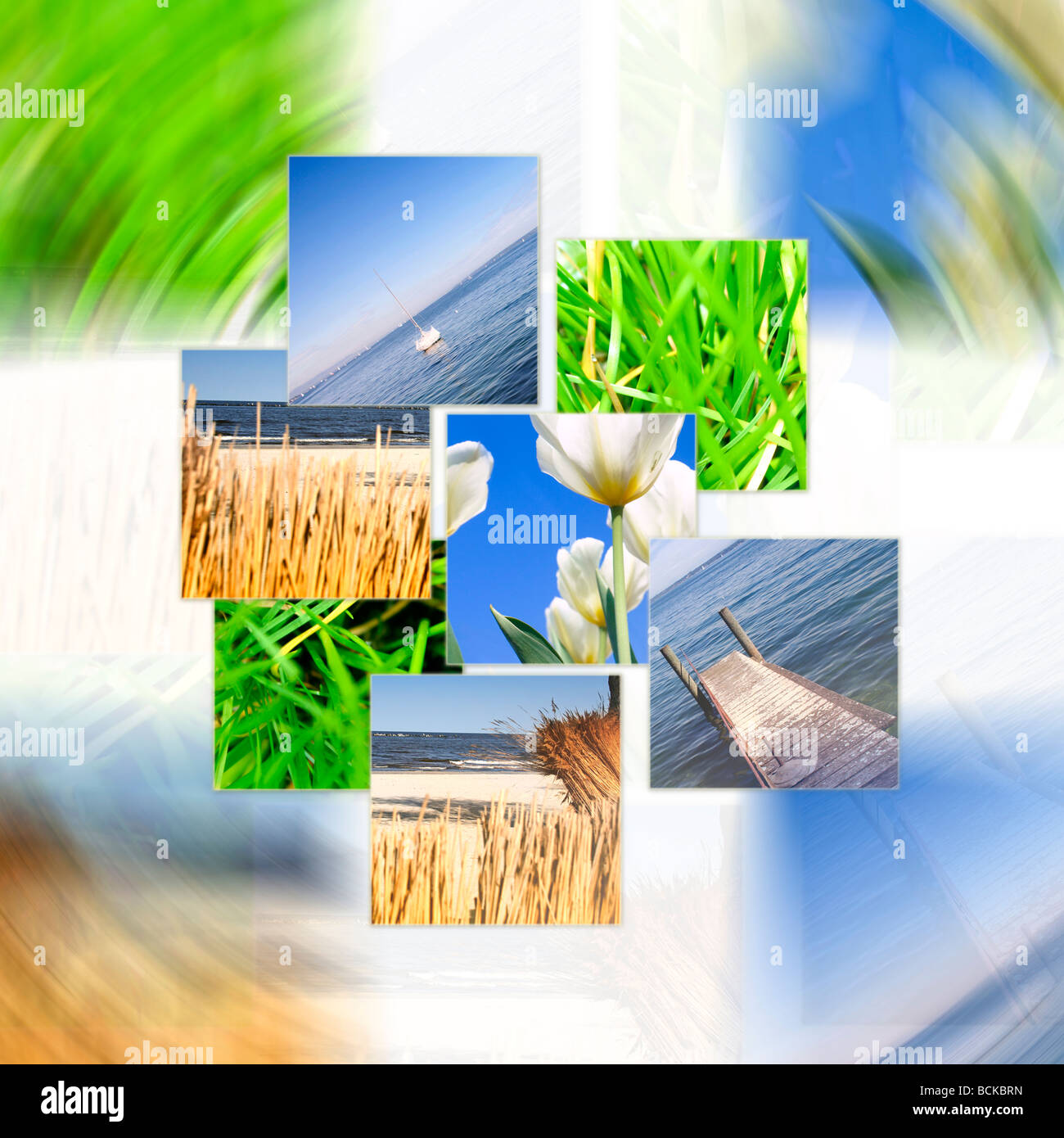 Colorful nature collage made from beauty photographs Stock Photo - Alamy