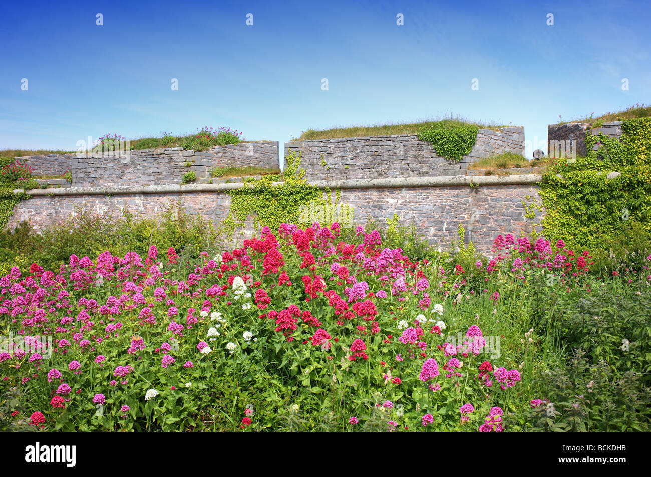 Images taken around berry head hi-res stock photography and images - Alamy
