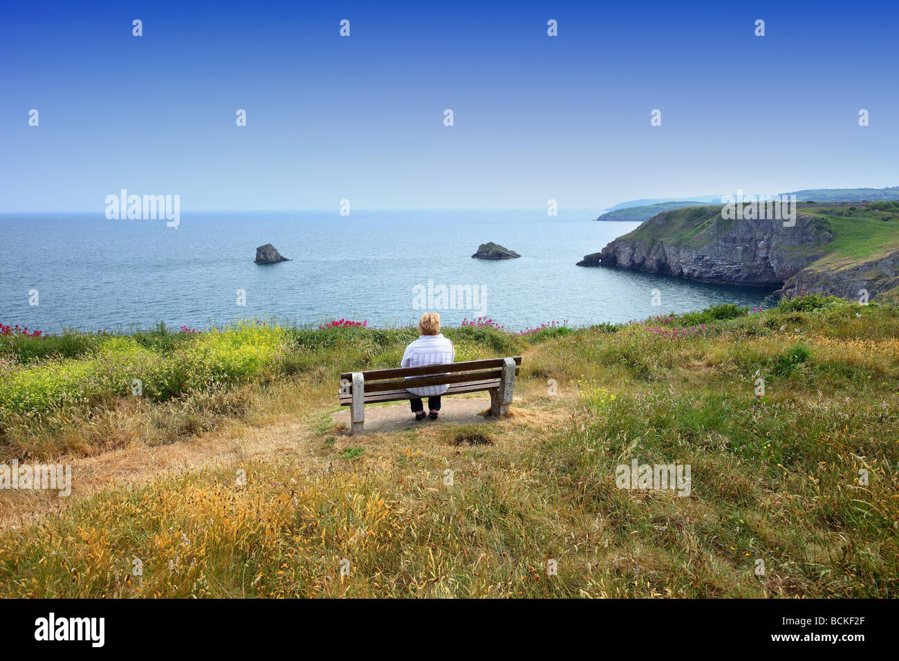 Images taken around Berry Head on the South Devon Coast, Great Britain ...