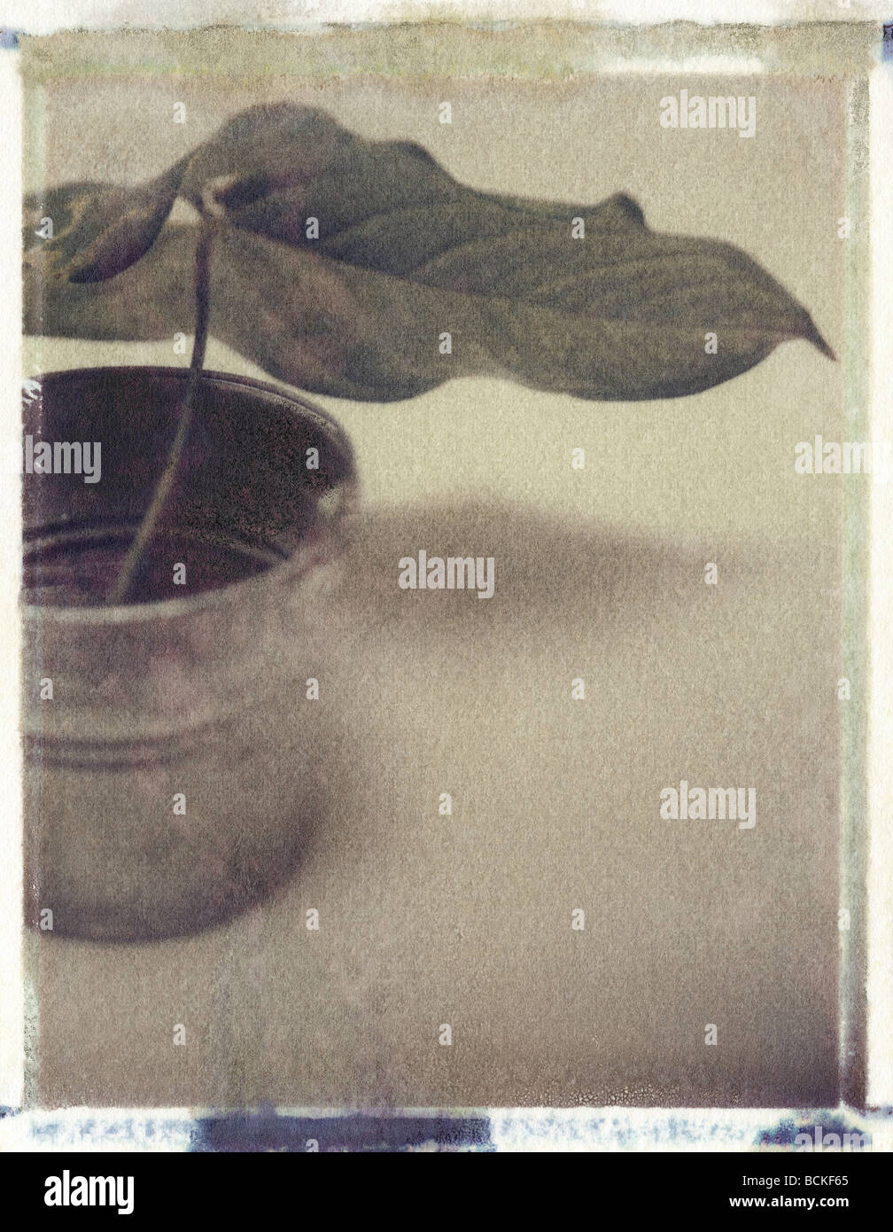 Plant pots without plants hi-res stock photography and images - Alamy