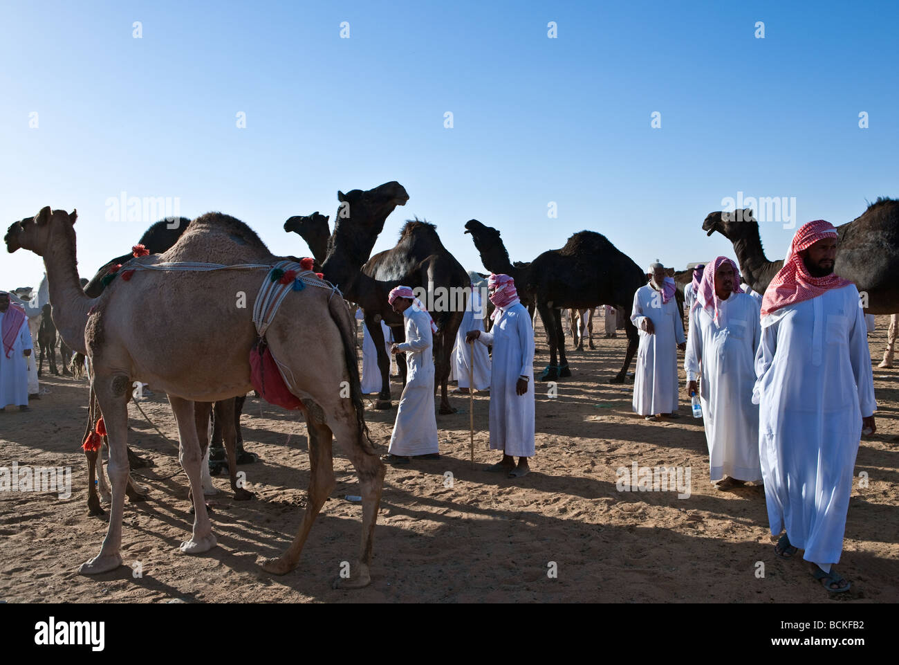 Souq Al Jamal High Resolution Stock Photography and Images - Alamy