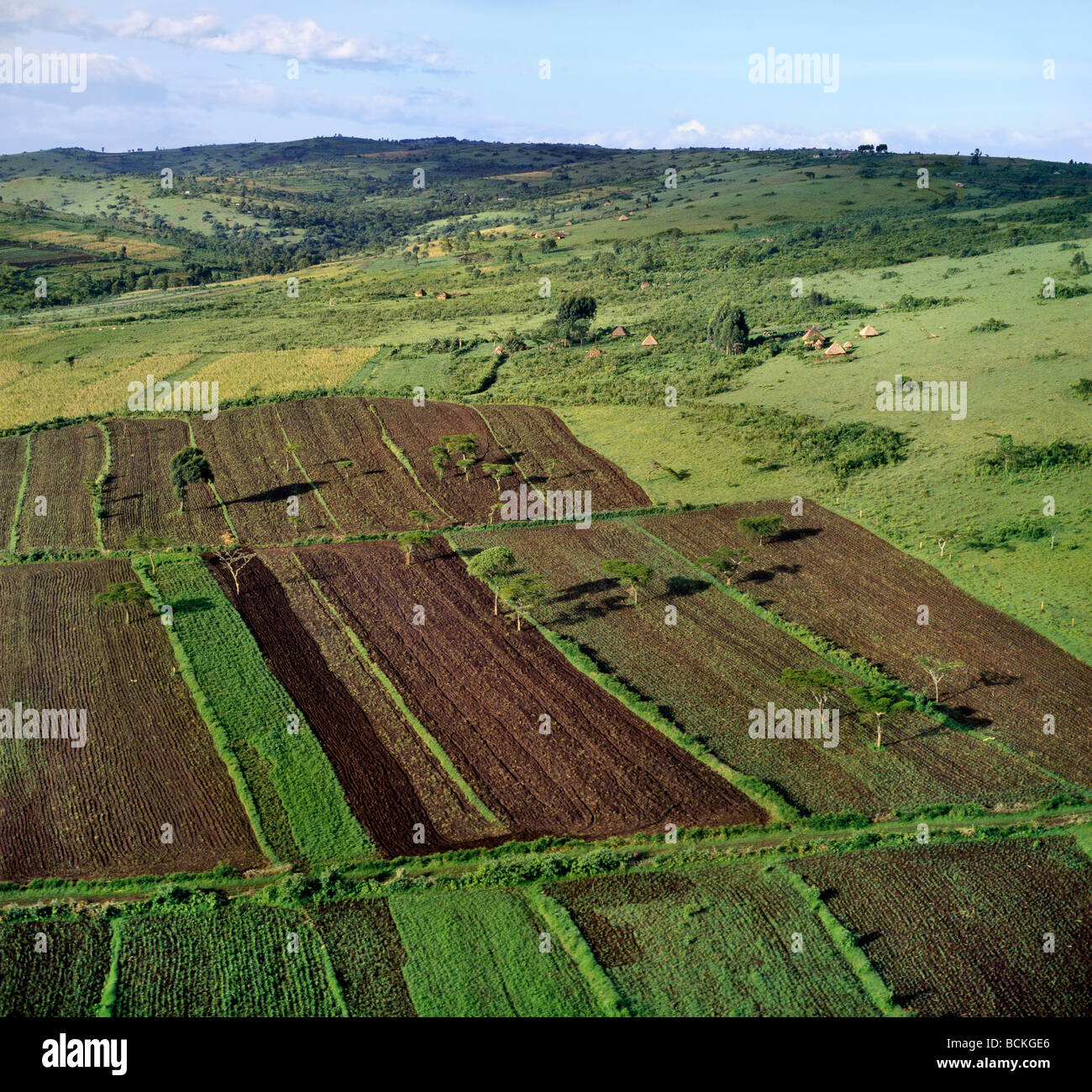 Kenya. Freshly ploughed land in Trans-Mara District Stock Photo - Alamy