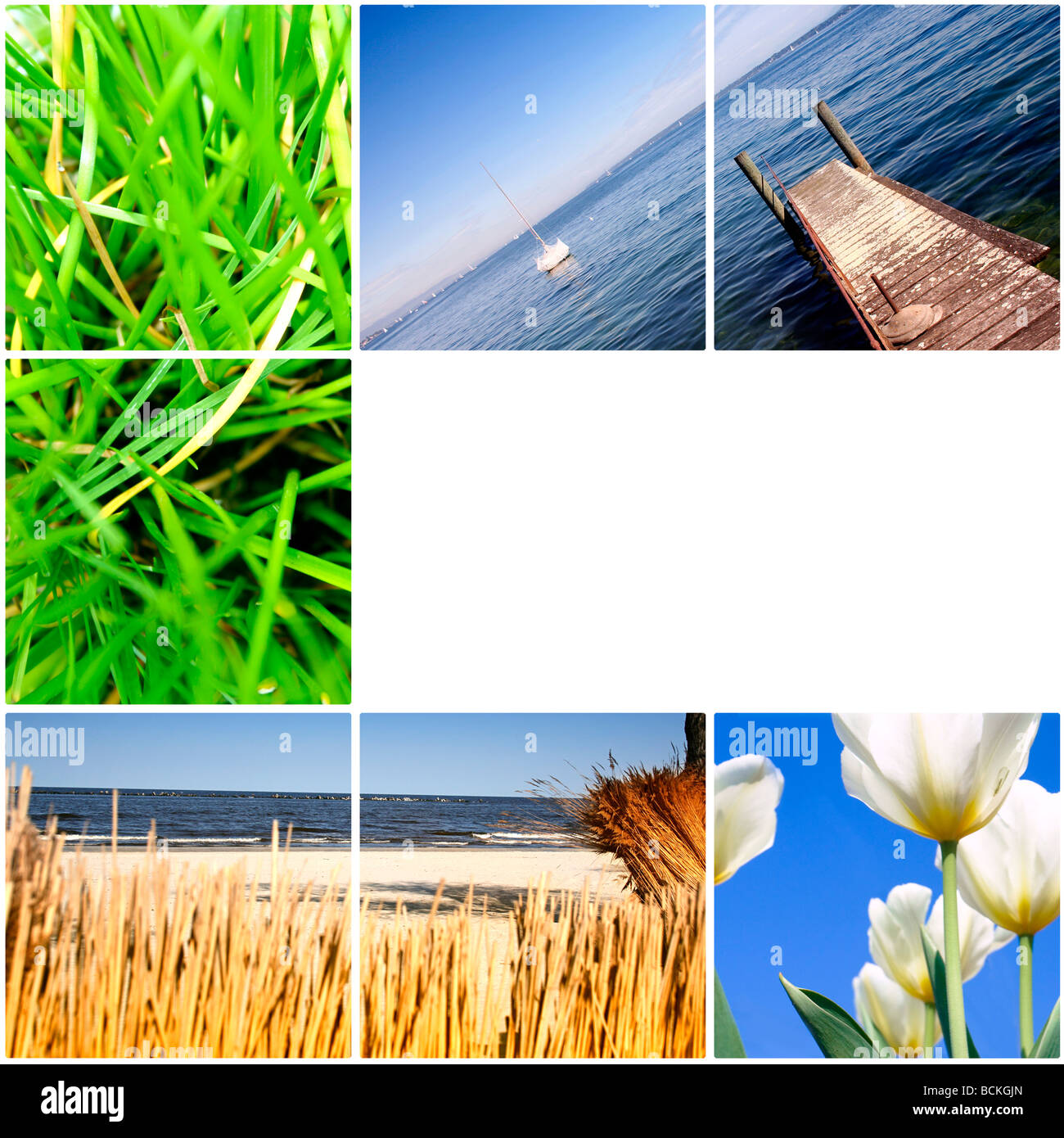 Colorful nature collage made from beauty photographs Stock Photo - Alamy