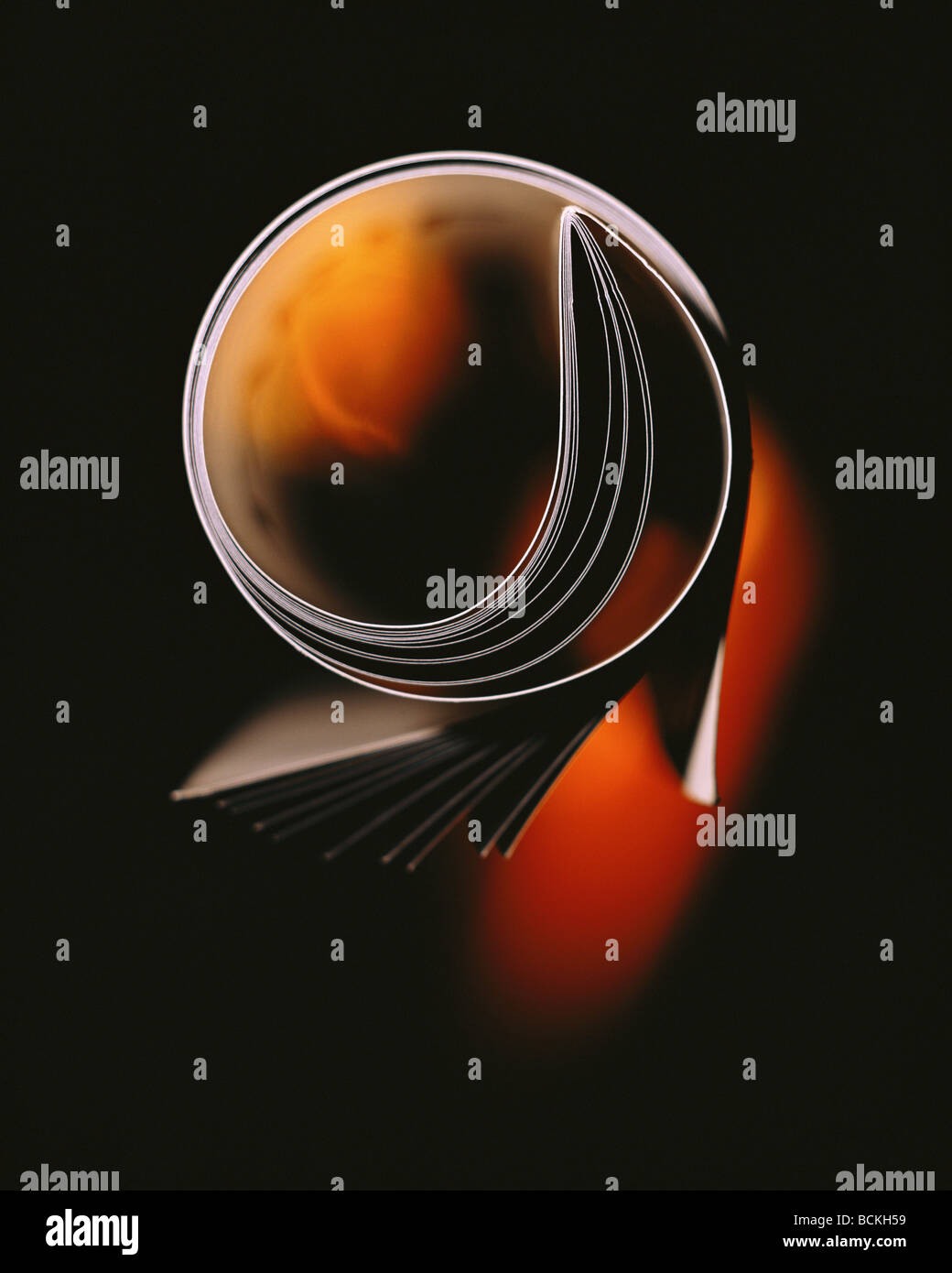 Rolled up piece of paper hi-res stock photography and images - Alamy