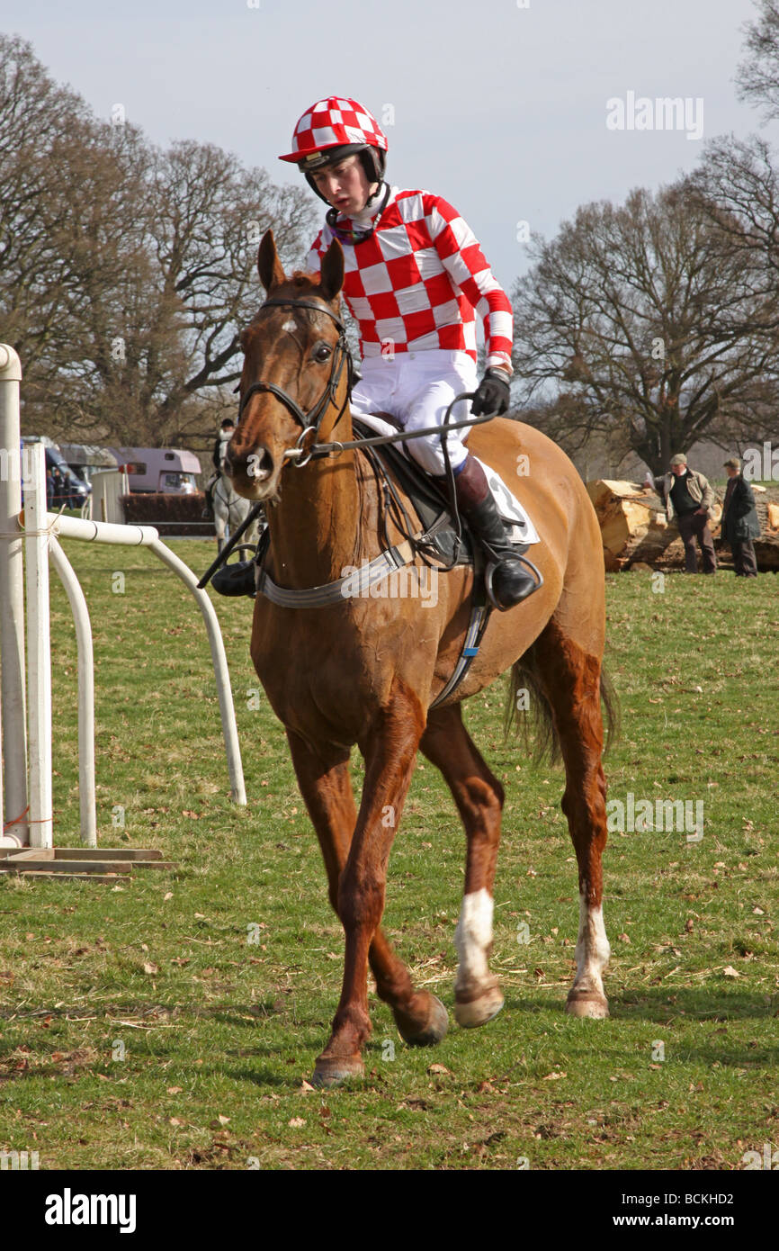 Racehorse walking back to the paddock after finishing a race Stock ...