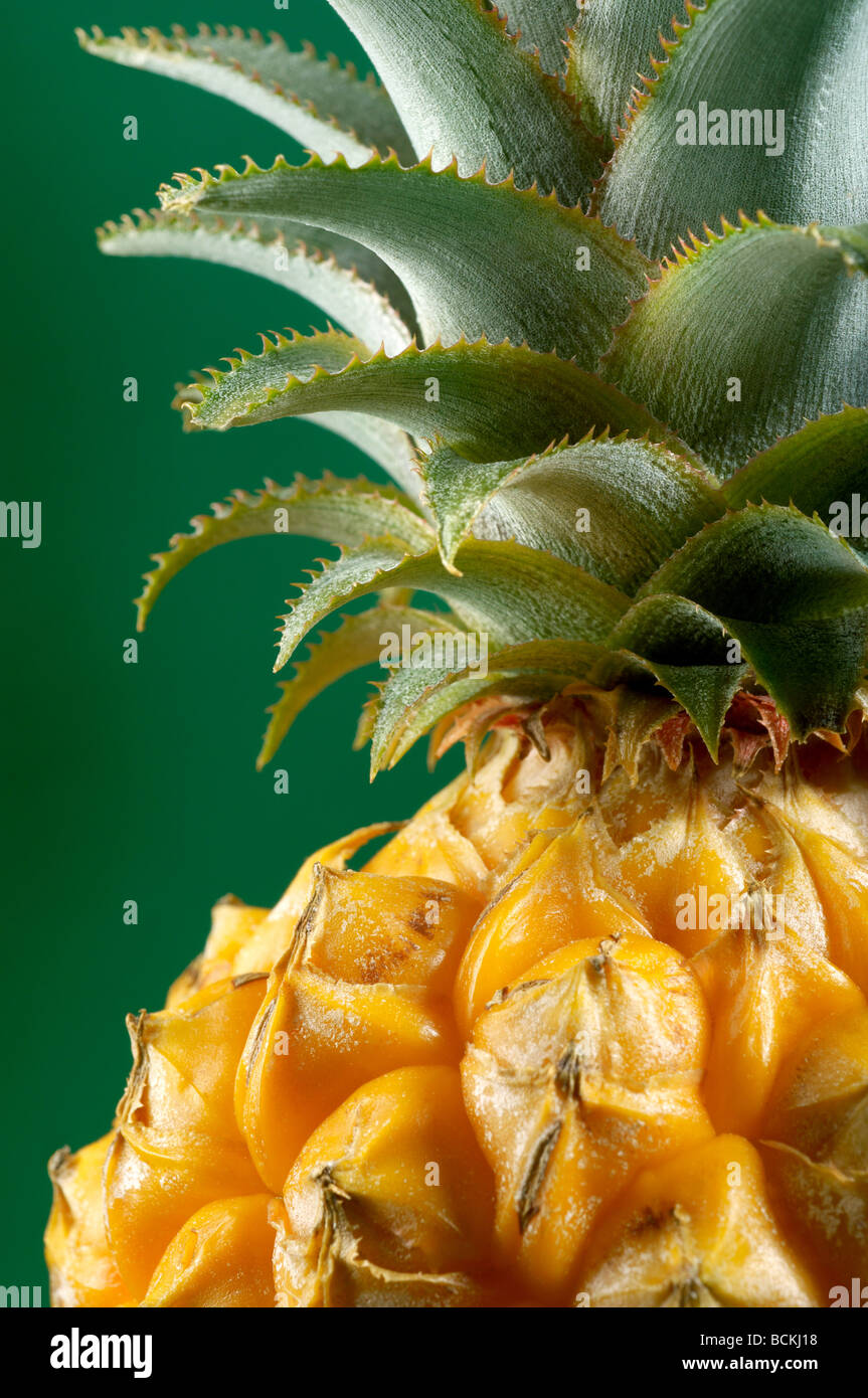 Pineapple on green background Stock Photo - Alamy