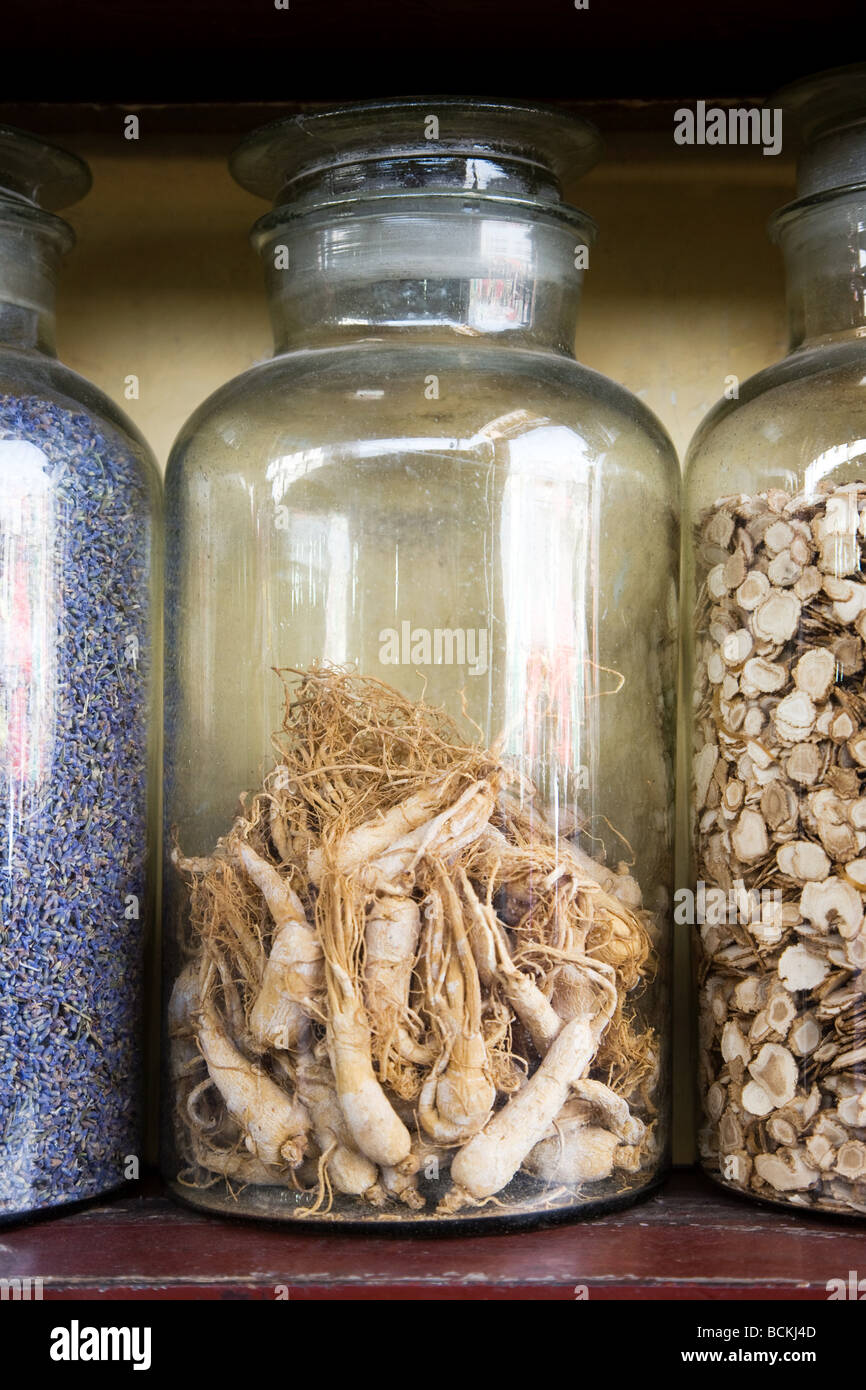 Ginseng roots in a jar Stock Photo - Alamy
