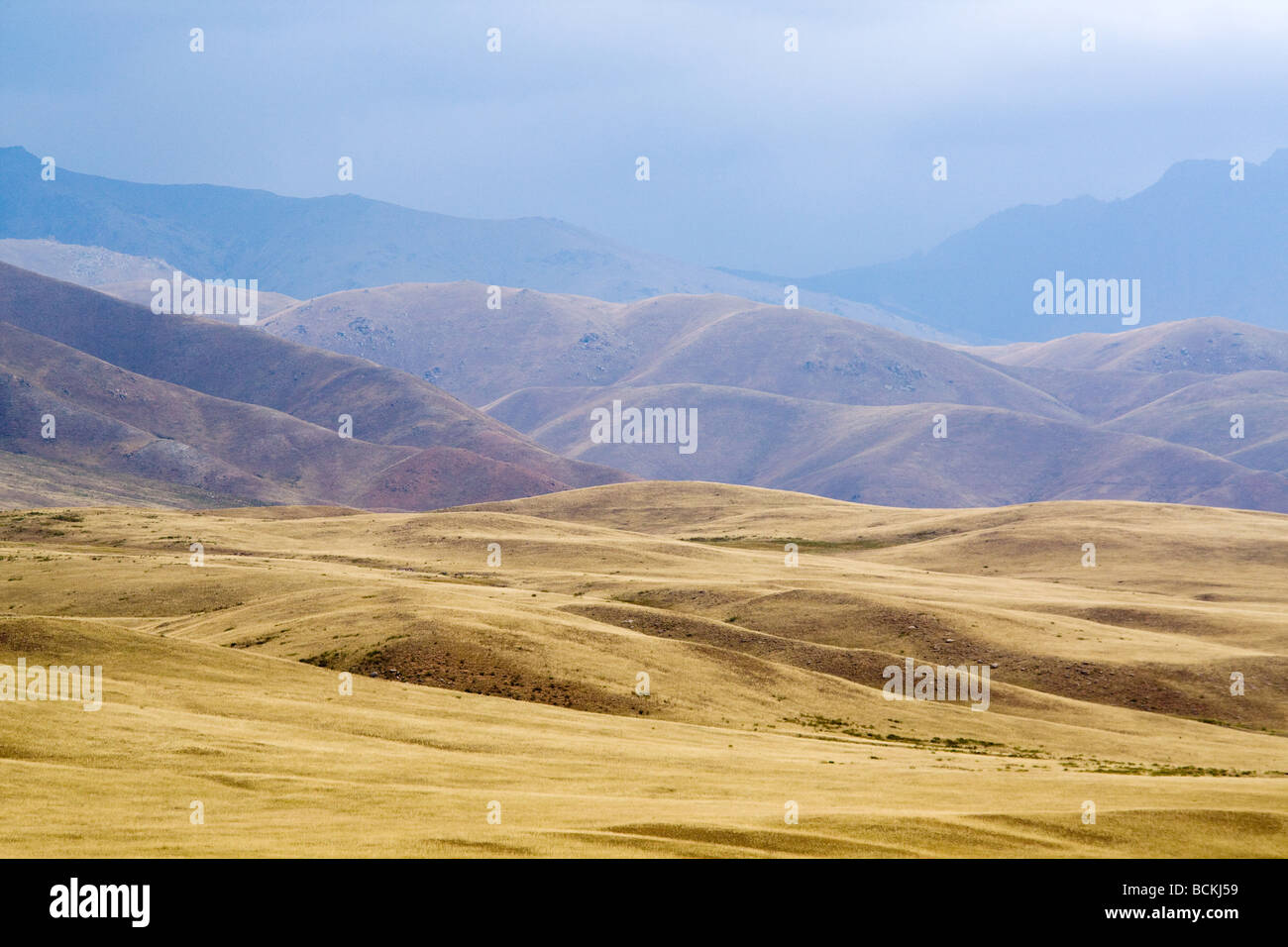 Arid steppe hi-res stock photography and images - Alamy