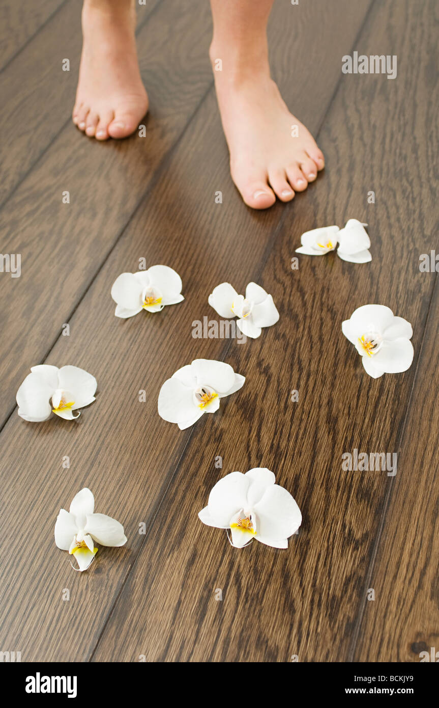 Female plant anatomy hi-res stock photography and images - Alamy