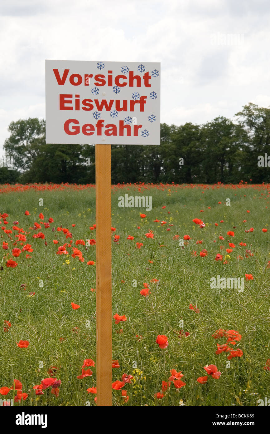Ice poppy hi-res stock photography and images - Alamy