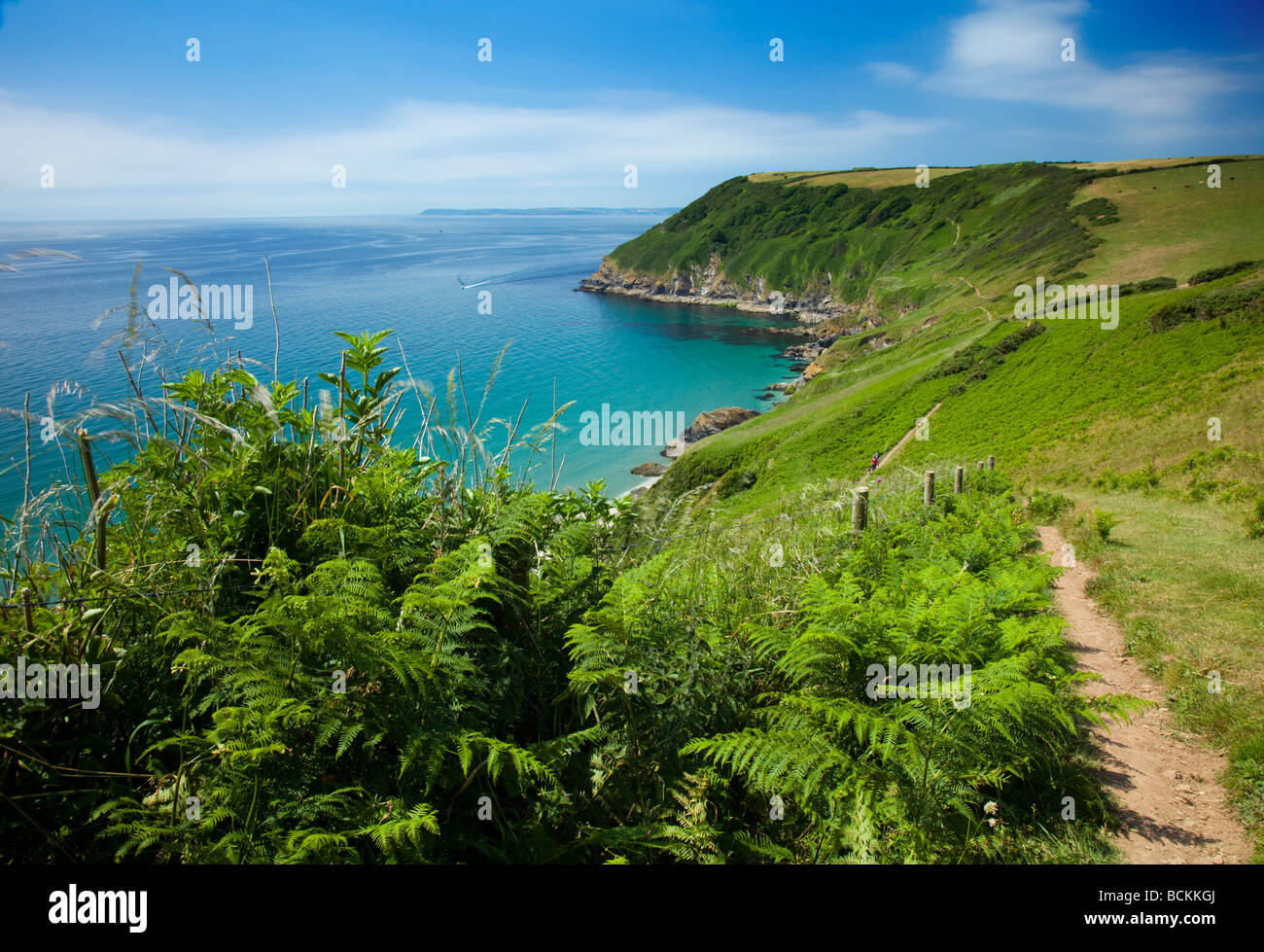 Cornwall coastal path hi-res stock photography and images - Alamy