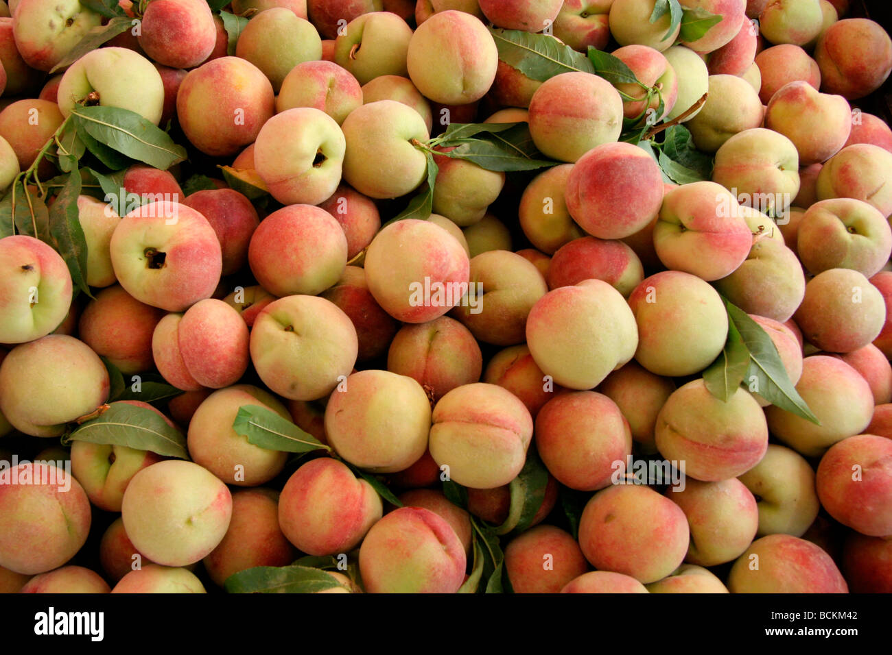 kyrenia Market North Cyprus Stock Photo - Alamy