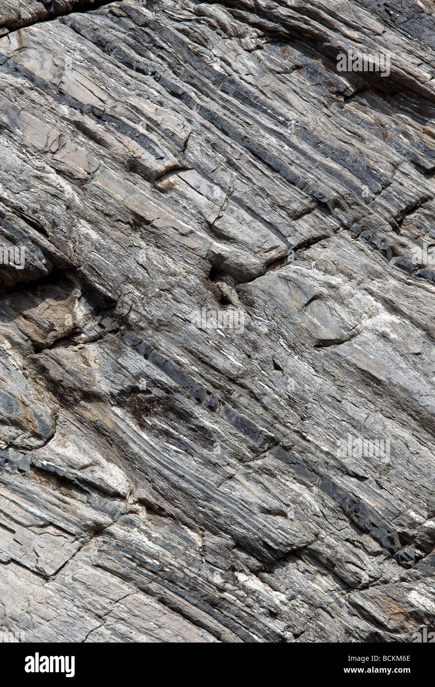 Slab of shale for the background with copy space Stock Photo - Alamy