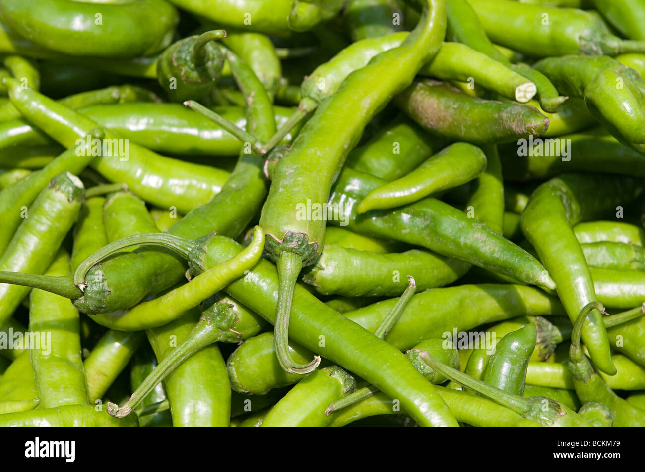 Chillis hi-res stock photography and images - Alamy