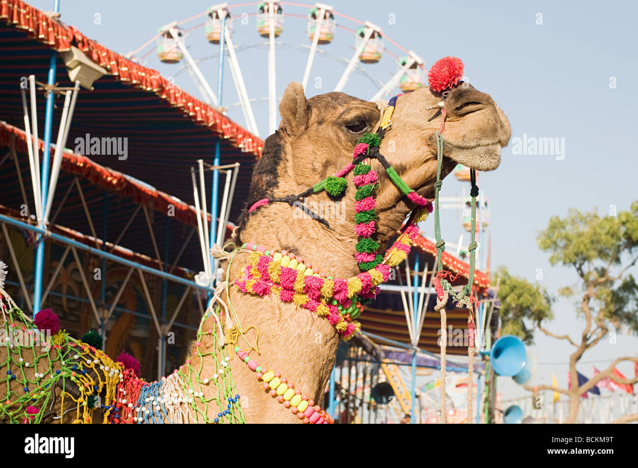 Traditional south asian attire hi-res stock photography and images - Alamy