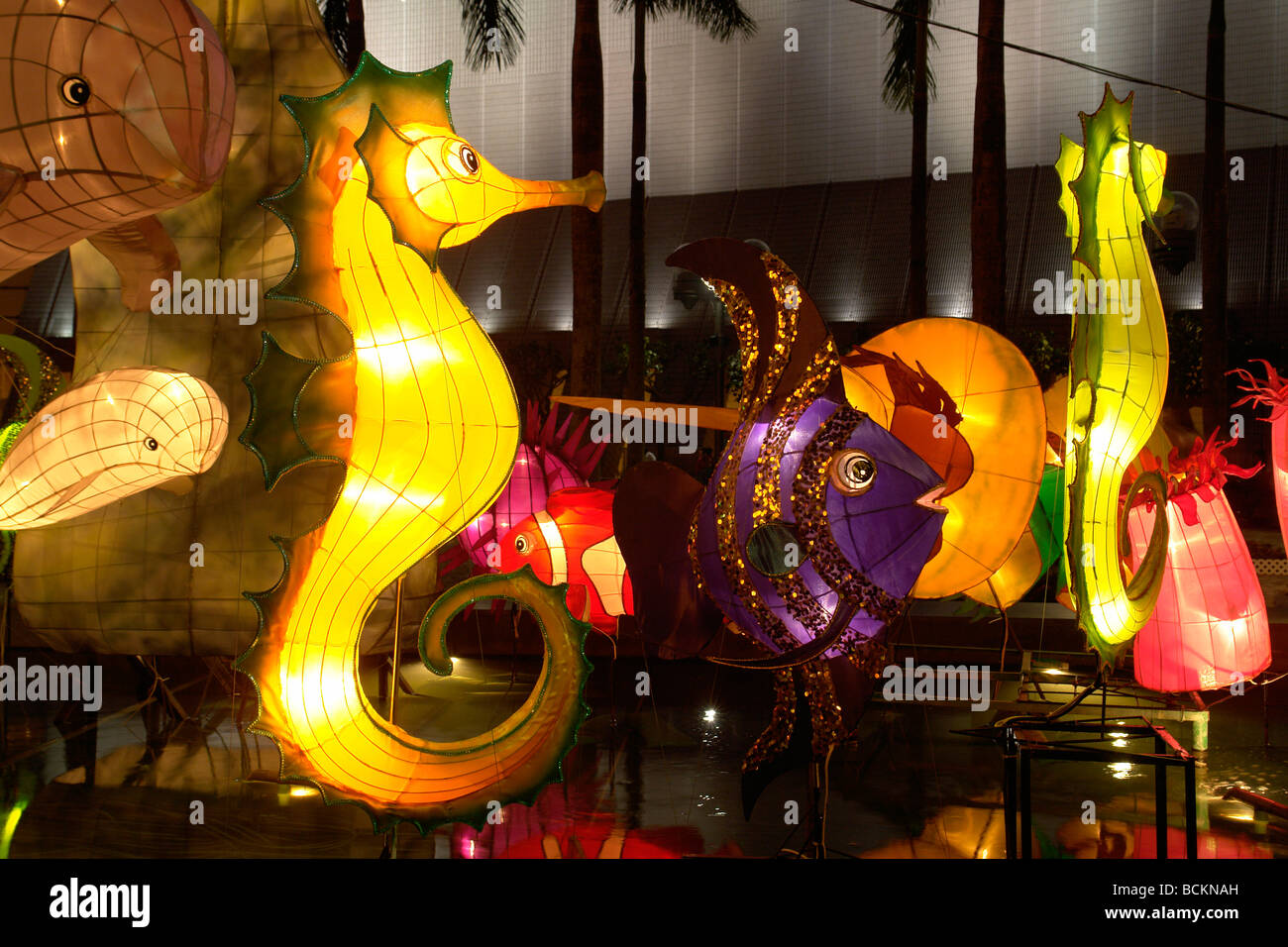 China Hong Kong Lanterns at Chinese Mid-Autumn festival, Moon festival ...