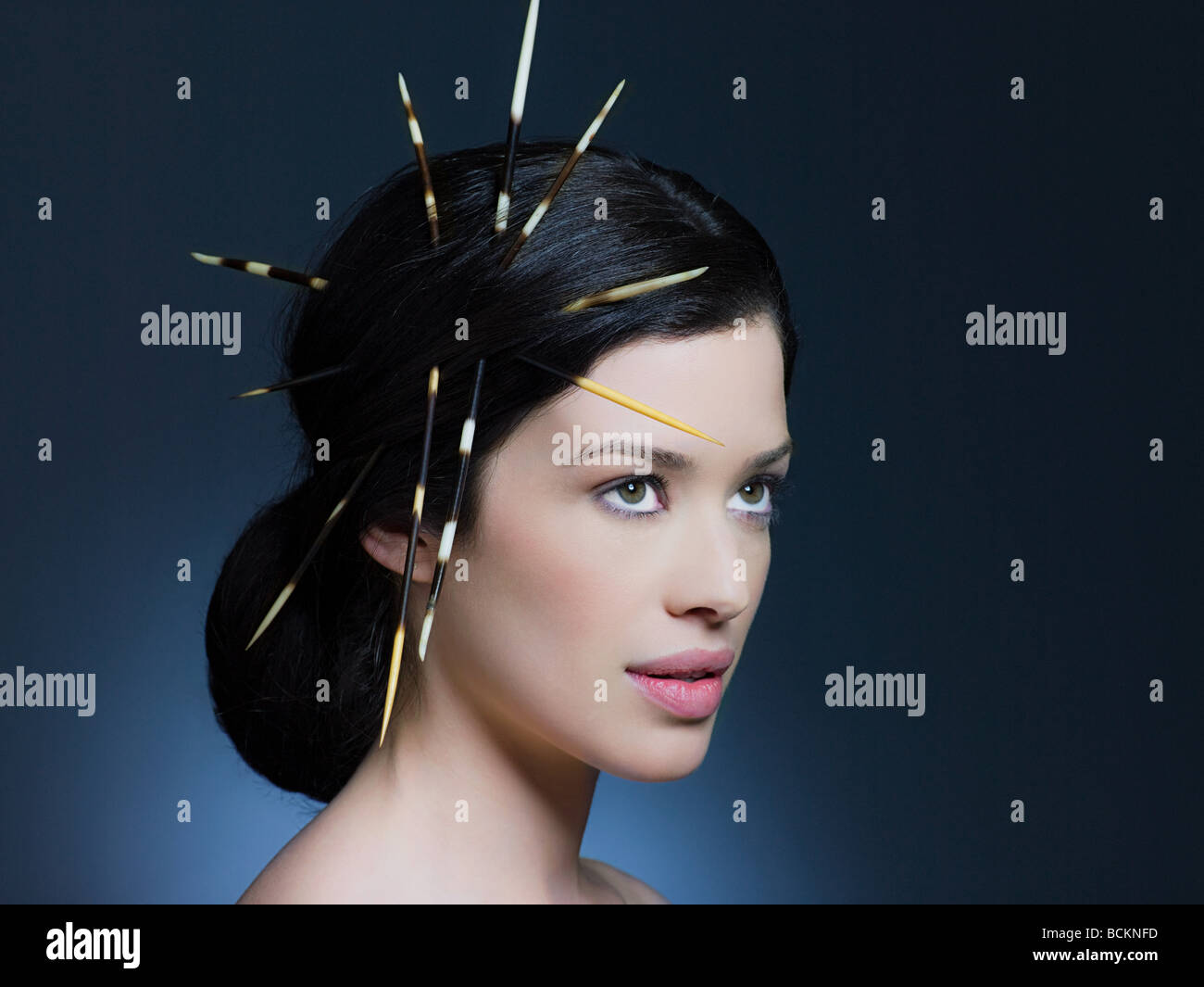 Porcupine Quills Human