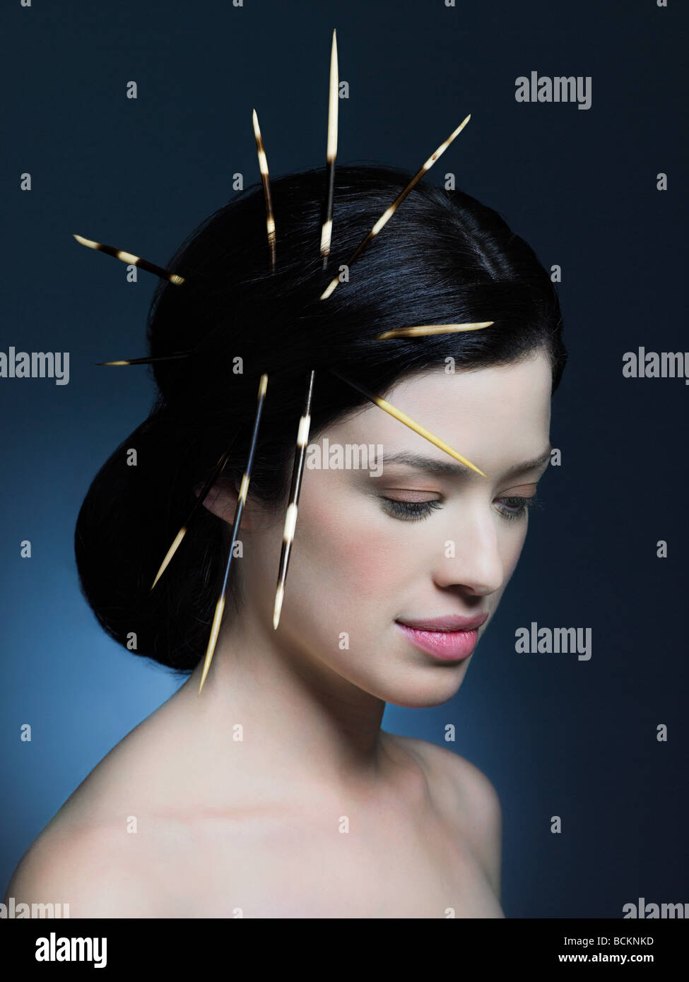 Close up porcupine quills hi-res stock photography and images - Alamy