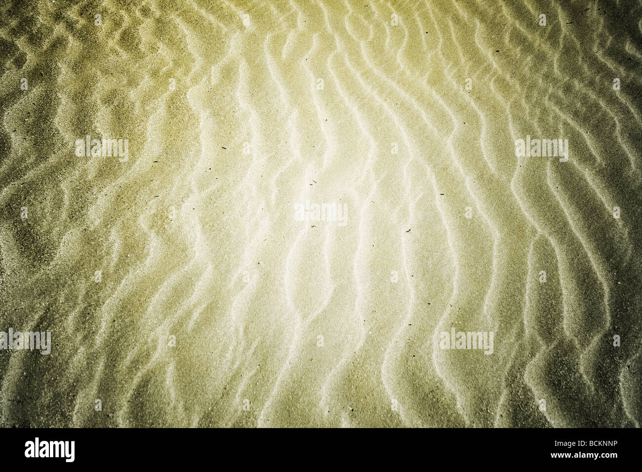 Beach soft sand rippled texture hi-res stock photography and images - Alamy