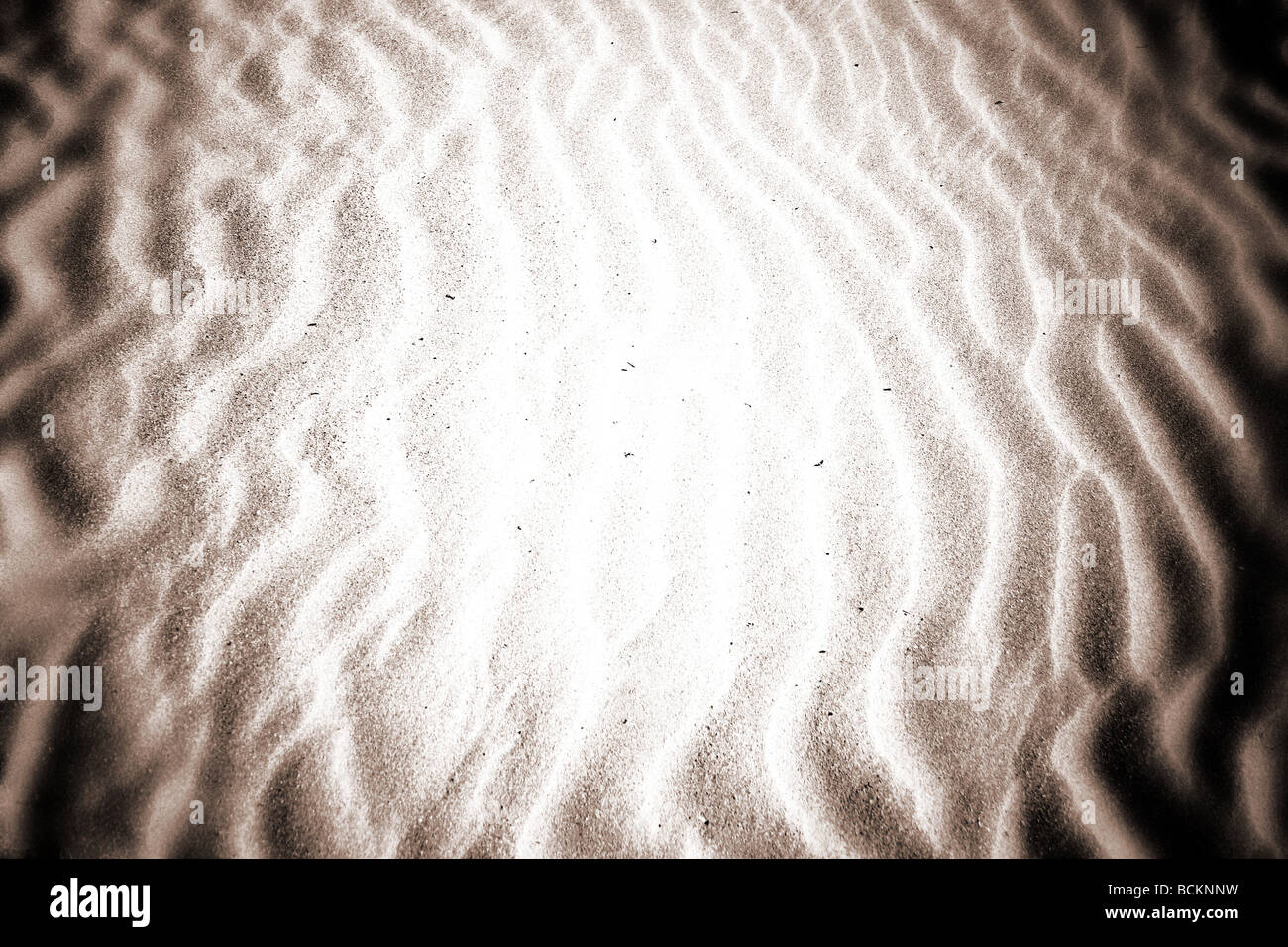 Beach with soft sand, rippled texture of windblown effect Stock Photo ...