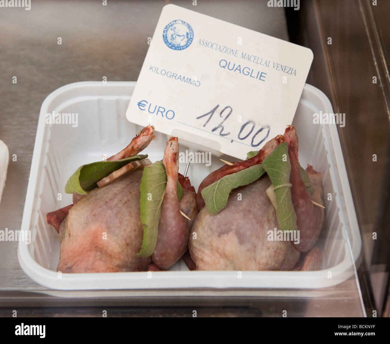 Venice - quail (raw ingredients prepared birds for sale) in poultry and ...