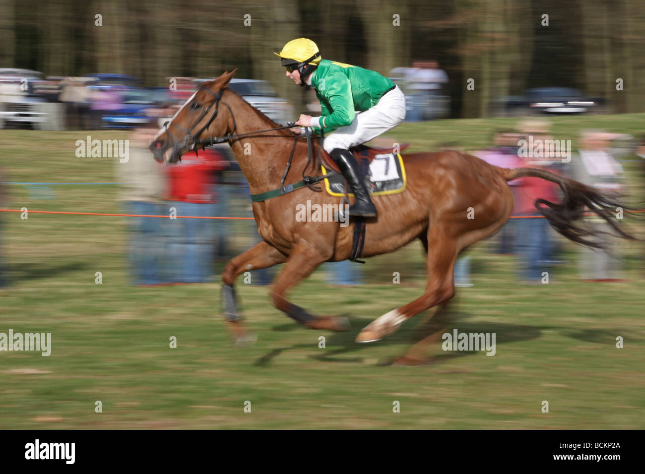 Racehorse galloping towards the finish Stock Photo - Alamy