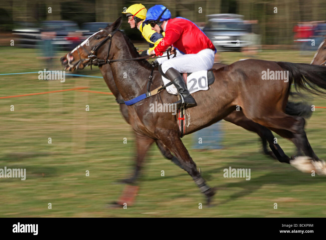 Two ponies galloping hi-res stock photography and images - Alamy