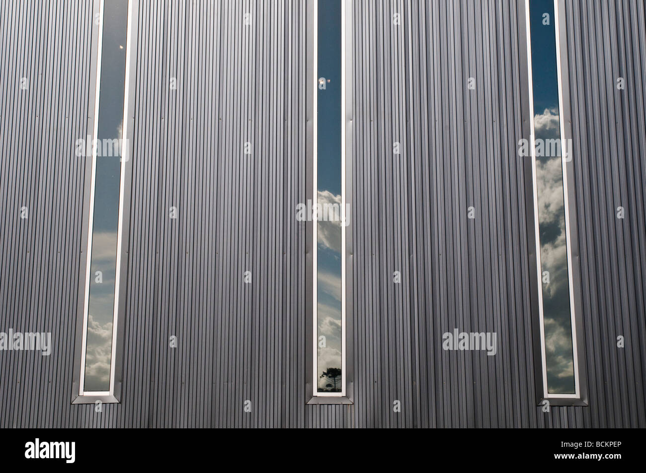 Reflection of a Tree and sky on the window of Tweed River Art Gallery ...