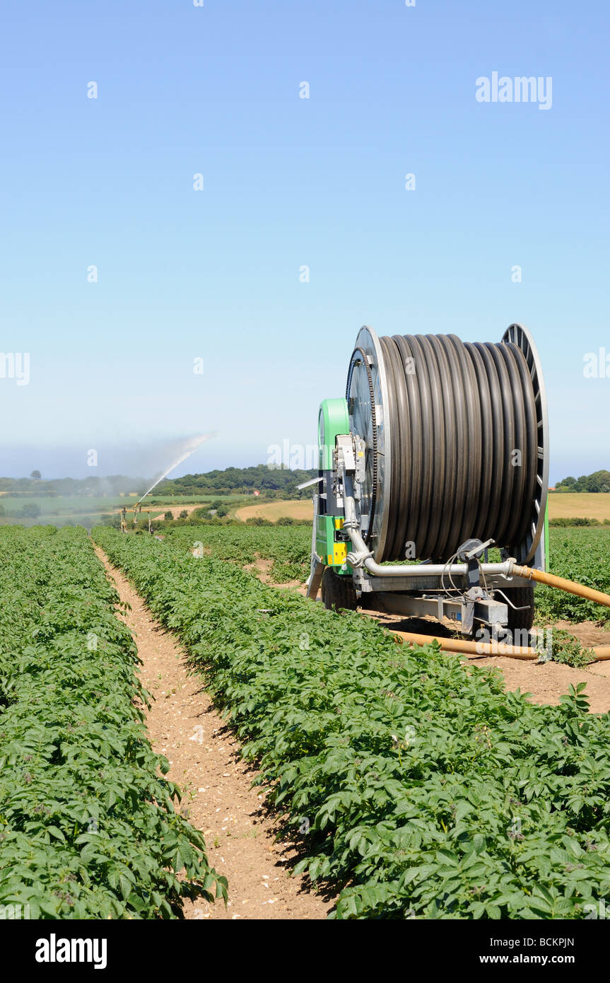 Irrigation hi-res stock photography and images - Alamy